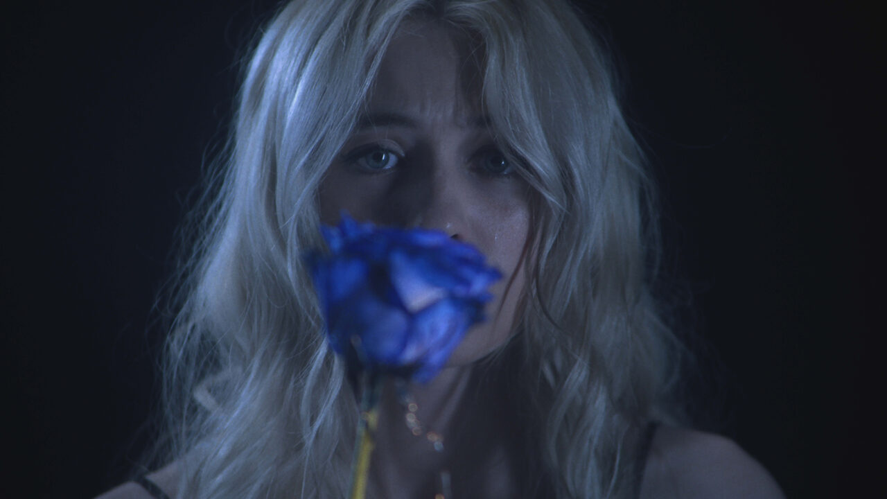 The Blue Rose - MPI Media